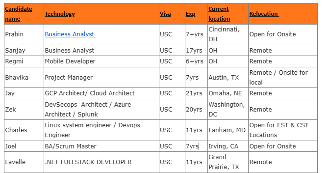 Business Analyst Hotlist Project Manager Fullstack Developer