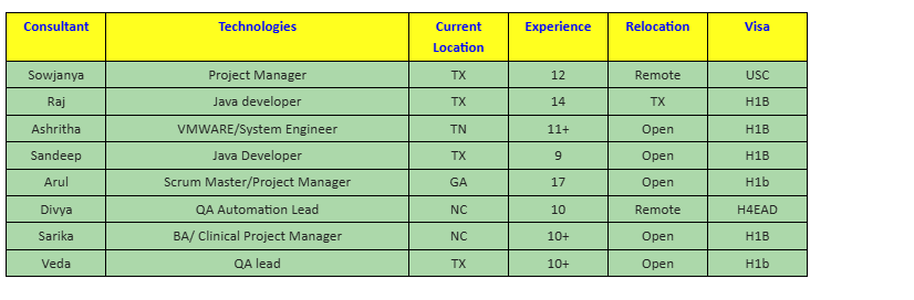 Project Manager Hotlist Java Developer Qa Lead Scrum Masterproject 0584